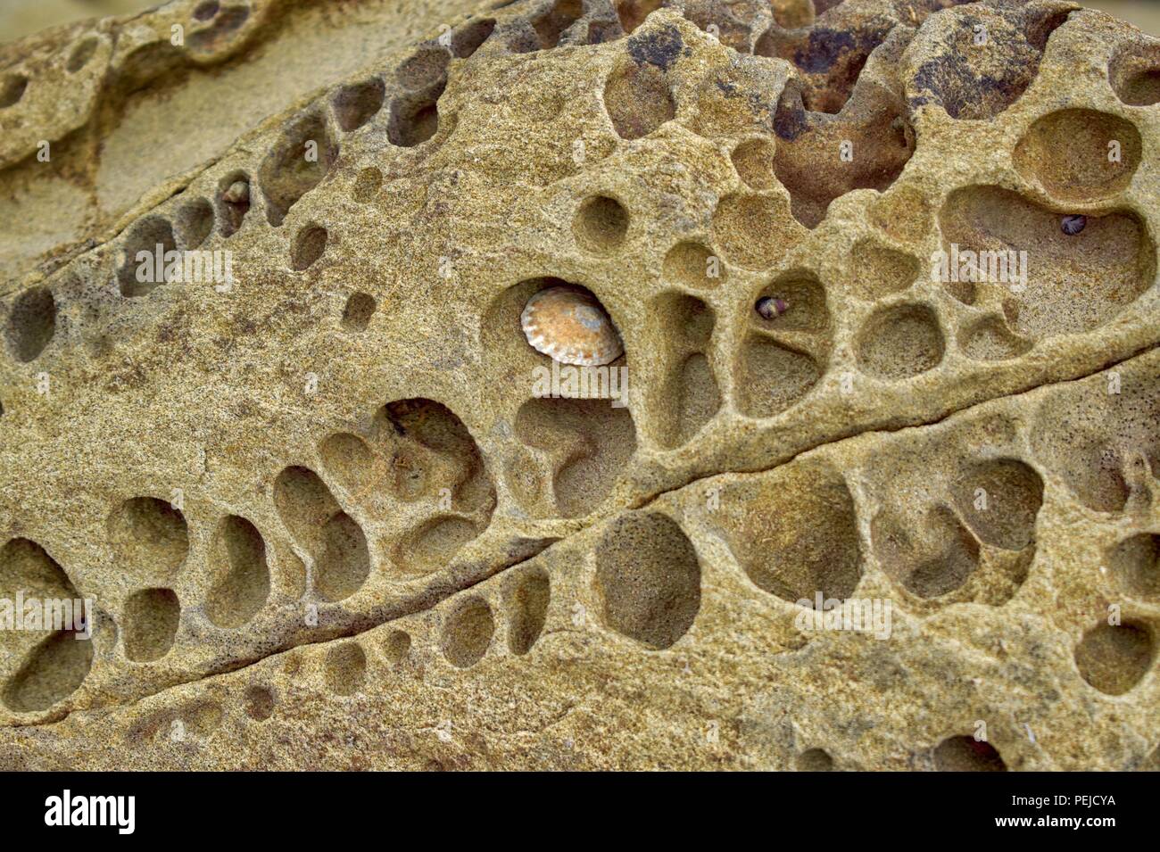 Tidal pool rock hi-res stock photography and images - Alamy