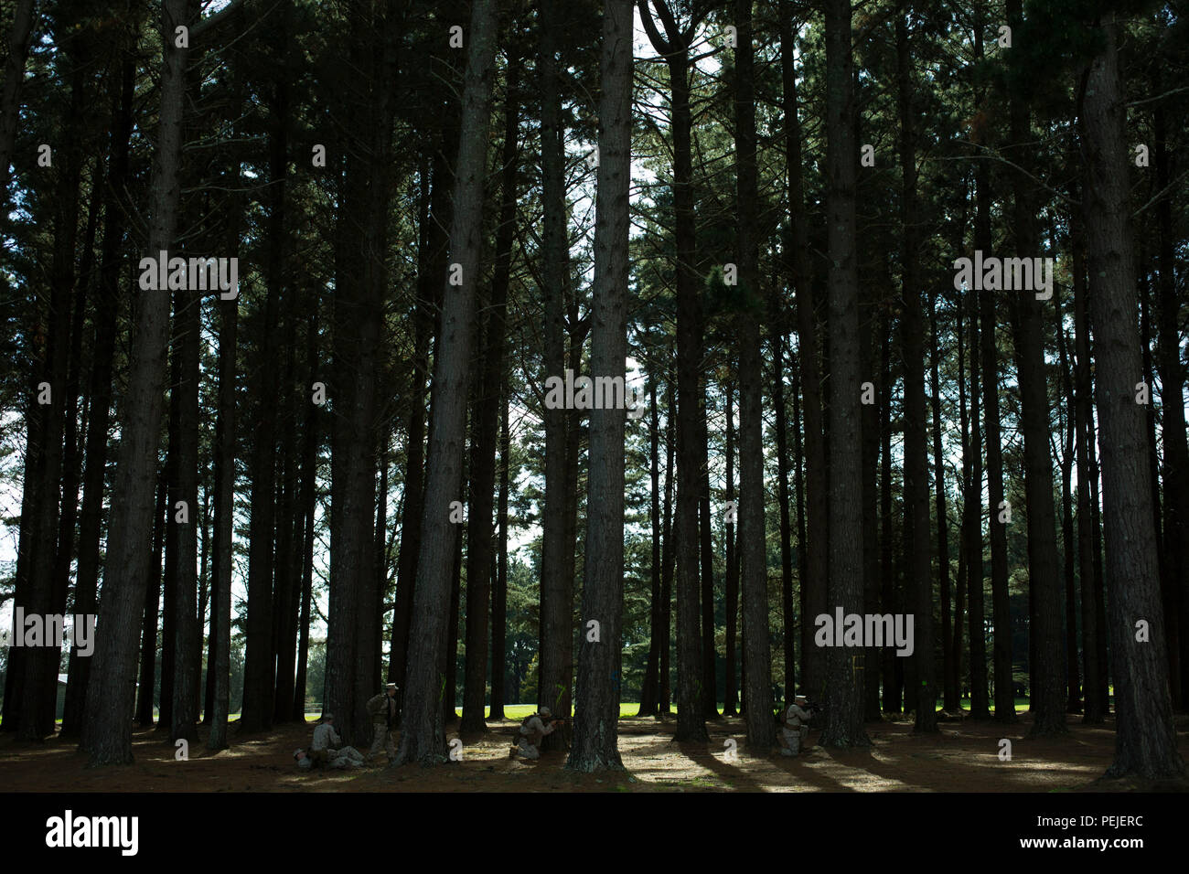 U.S. Marines patrol through the woods at Camp Linton, New Zealand ...