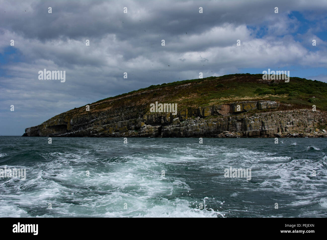 Trip around Puffin Island Stock Photo - Alamy