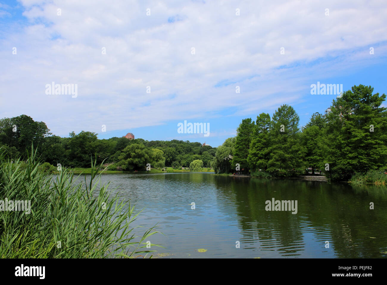 Harlem meer central park manhattan hi-res stock photography and images ...