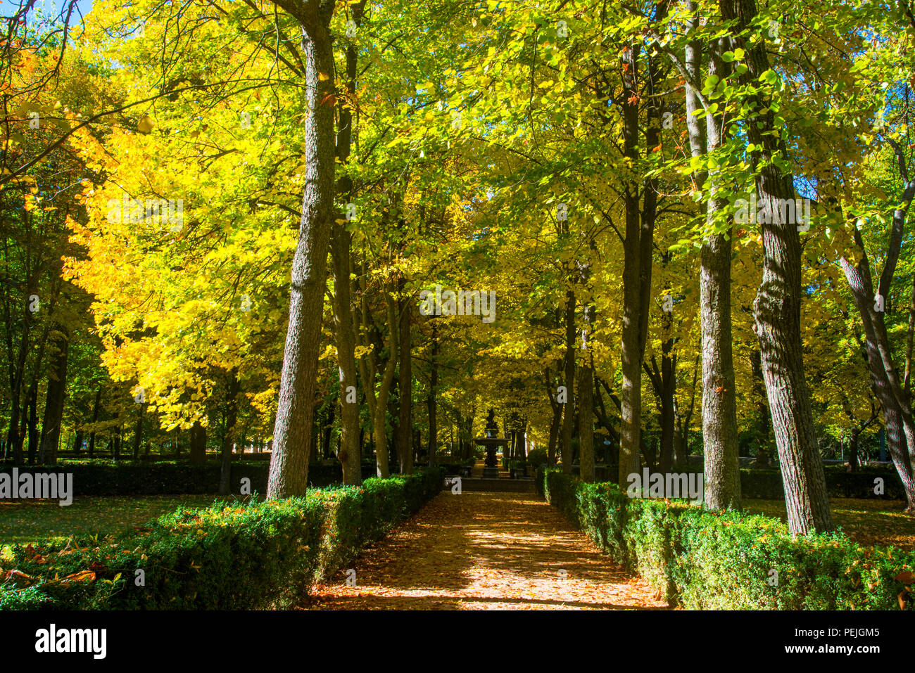 La Isla gardens in Autumn. Aranjuez, Madrid province, Spain Stock Photo ...