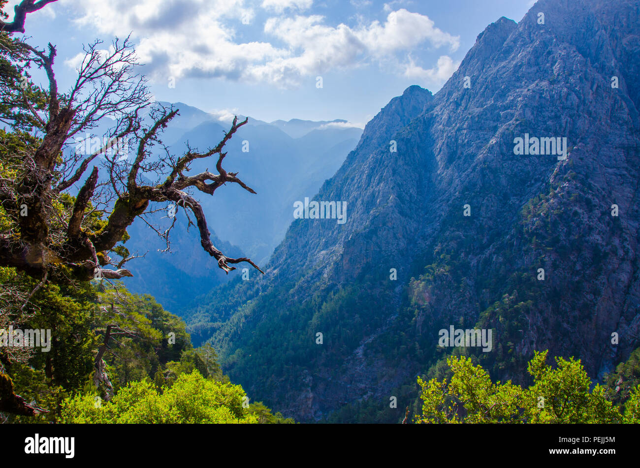 Beauty of the samaria gorge hi-res stock photography and images - Alamy