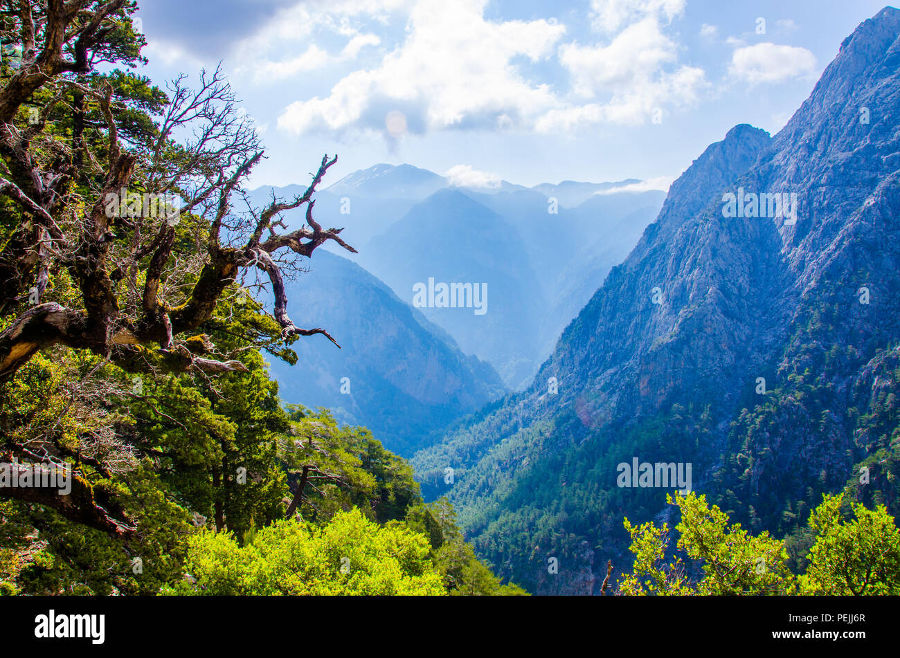 Samaria Canyon on island Crete, Greece Stock Photo - Alamy