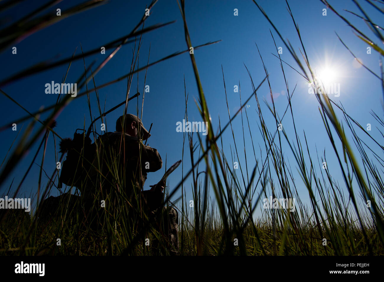 Razorback range detachment 1 hi-res stock photography and images - Alamy