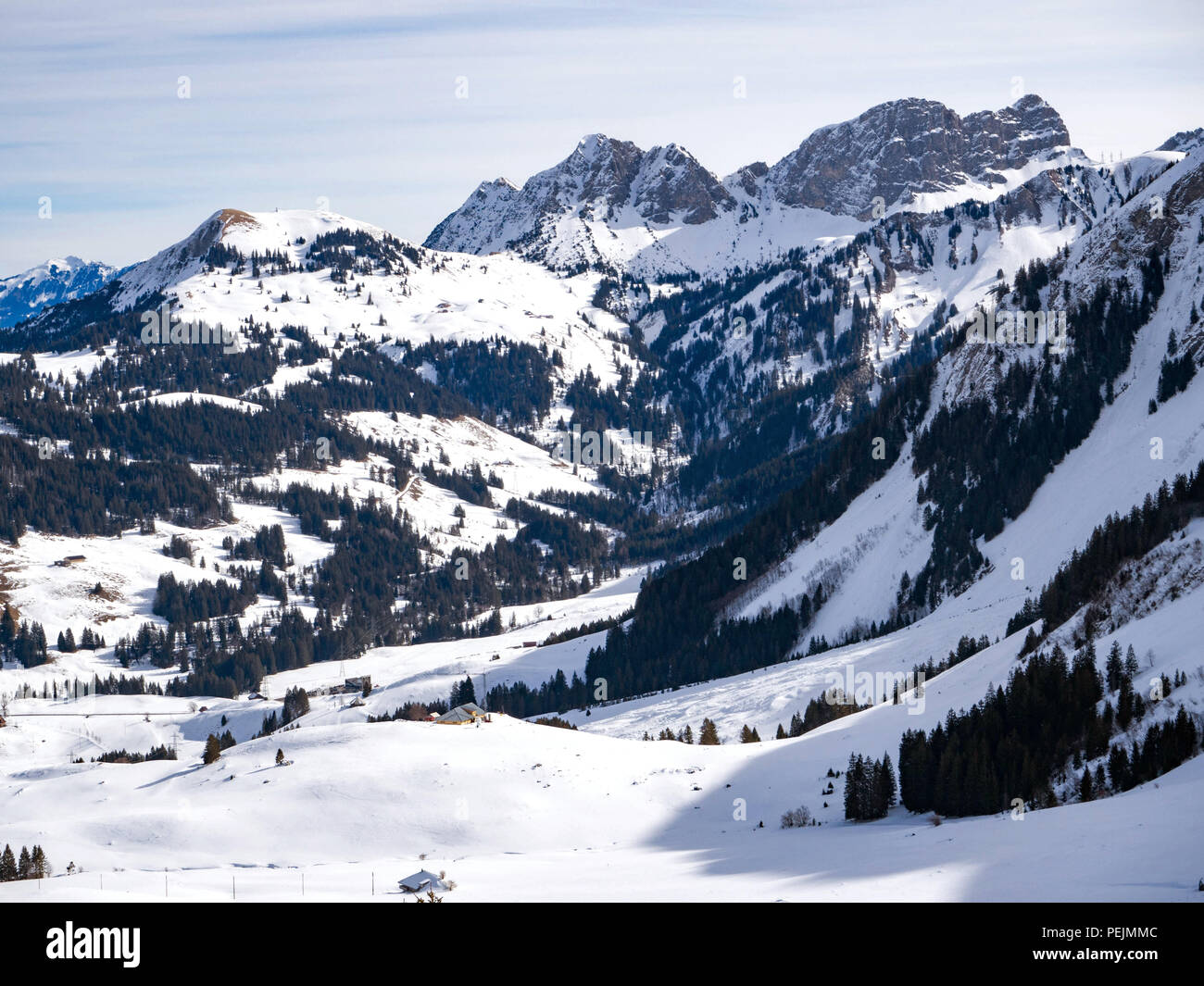 Swiss Mountains, Forest, Switzerland Stock Photo - Alamy