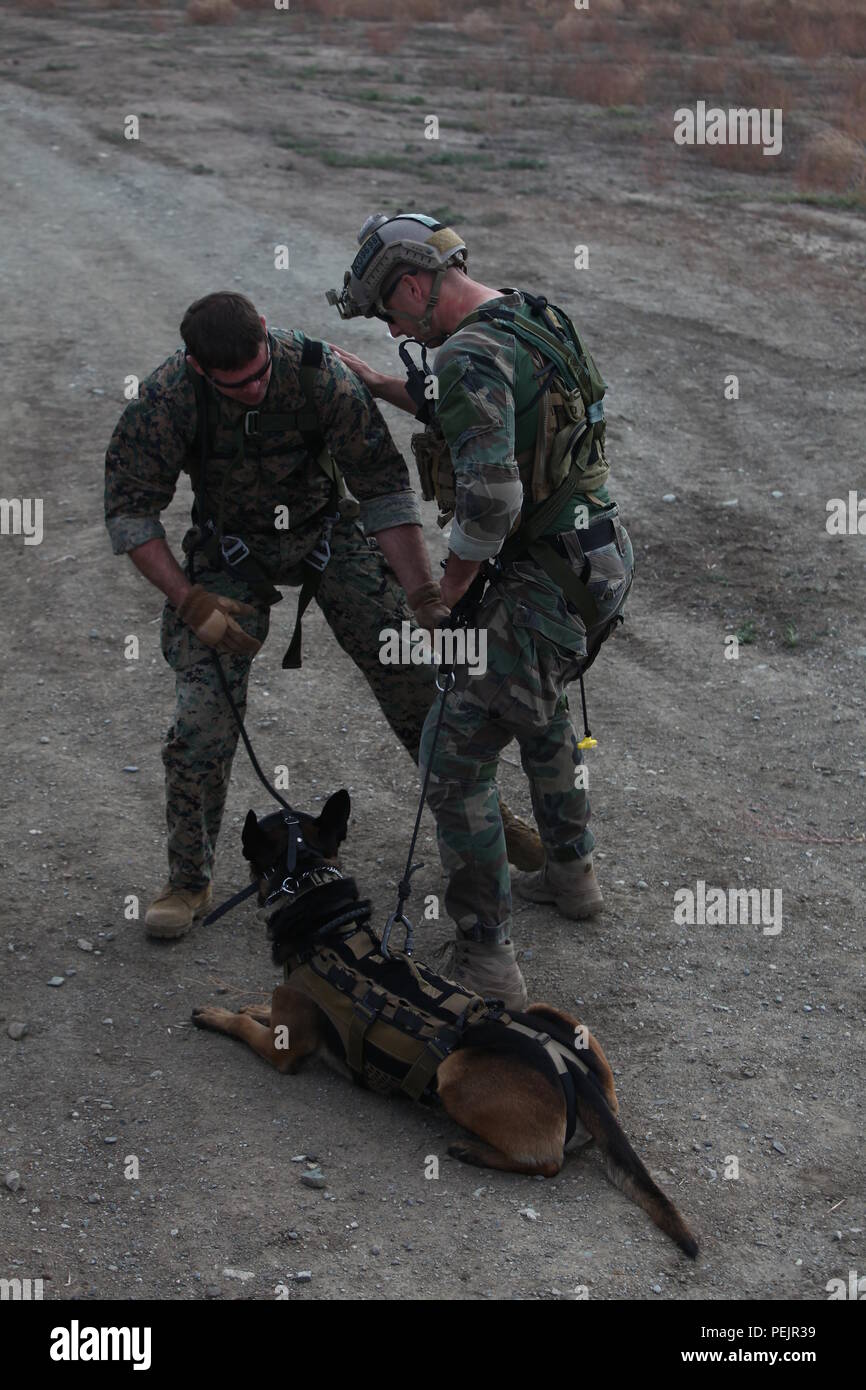 U.S. Marines with 1st Marine Raider Battalion, Marine Corps Forces ...