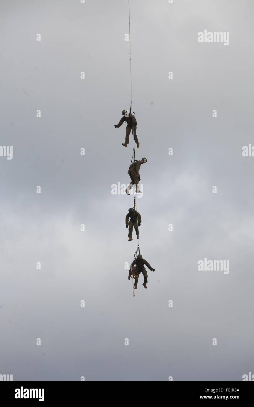 Special Purpose Insertion Extraction Spie Training High Resolution ...