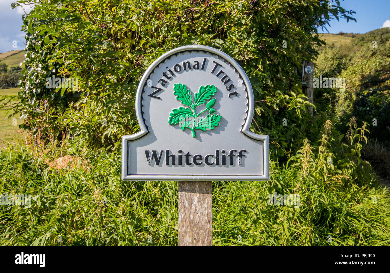 Whitecliff sign (Ballard Cliff, National Trust), Ballard Down near ...