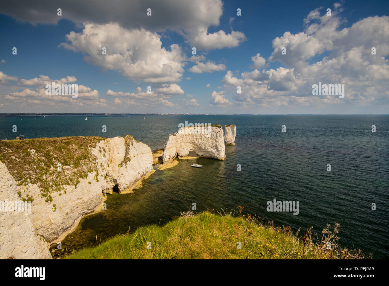 Ballard cliff swanage hi-res stock photography and images - Alamy