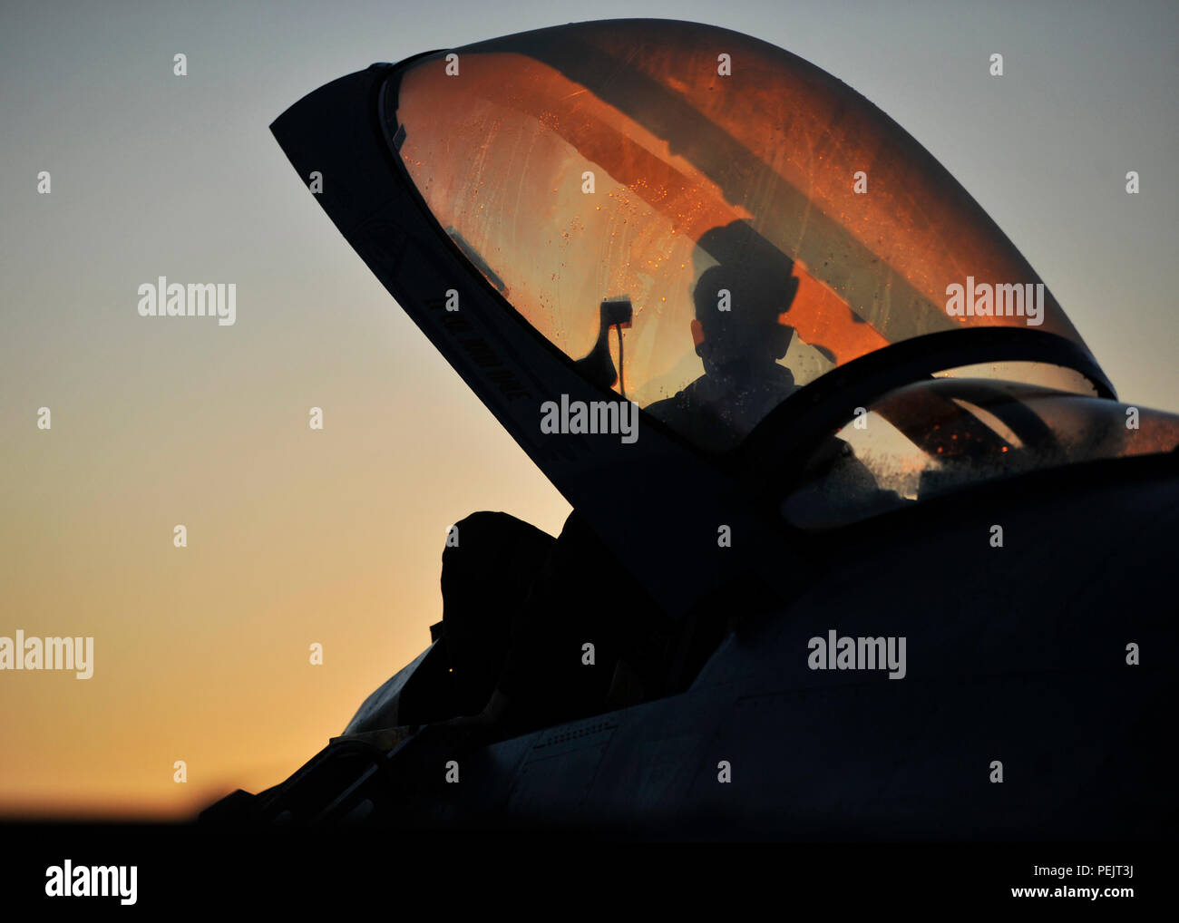 An F-16 Falcon pilot from Shaw Air Force Base, S.C., does his pre ...