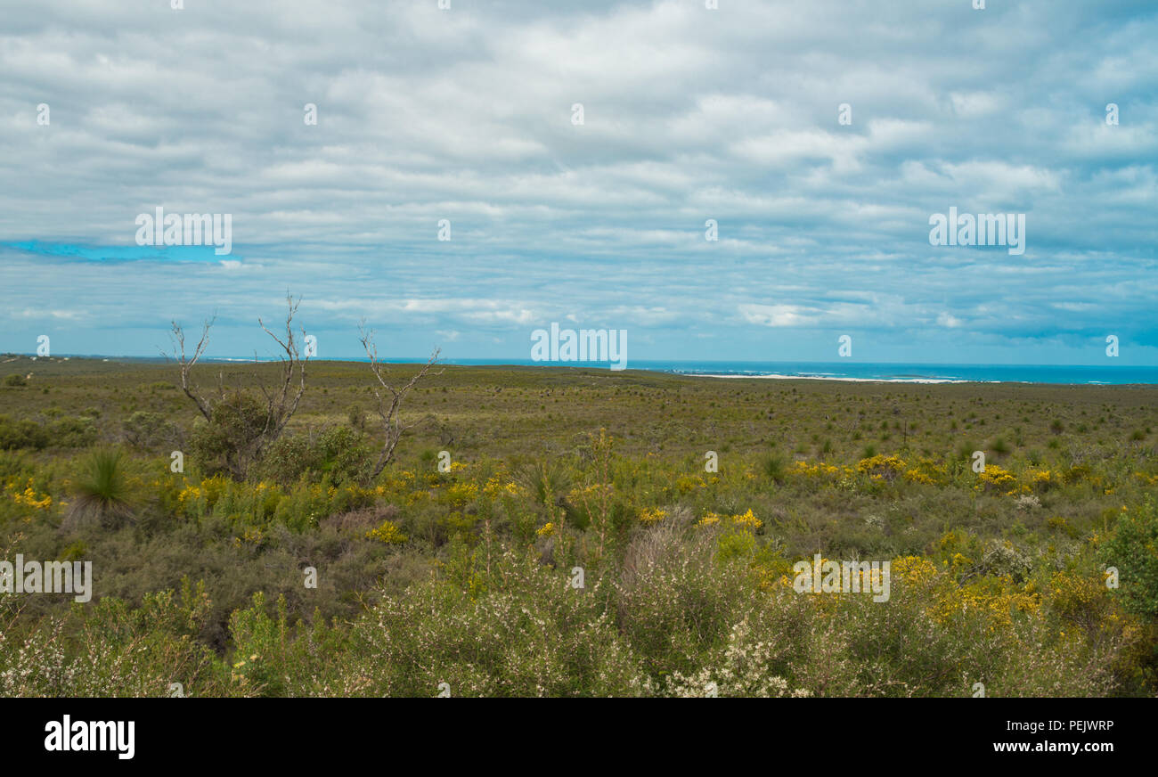 Outback prairie of Australia Stock Photo - Alamy