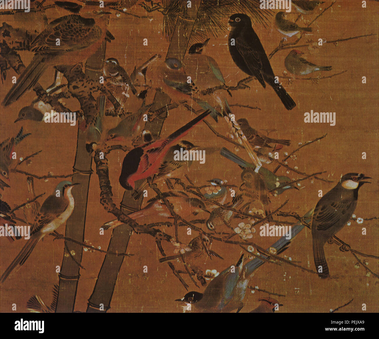 Birds on Winter Plants, Wen-chin, Pien Stock Photo - Alamy