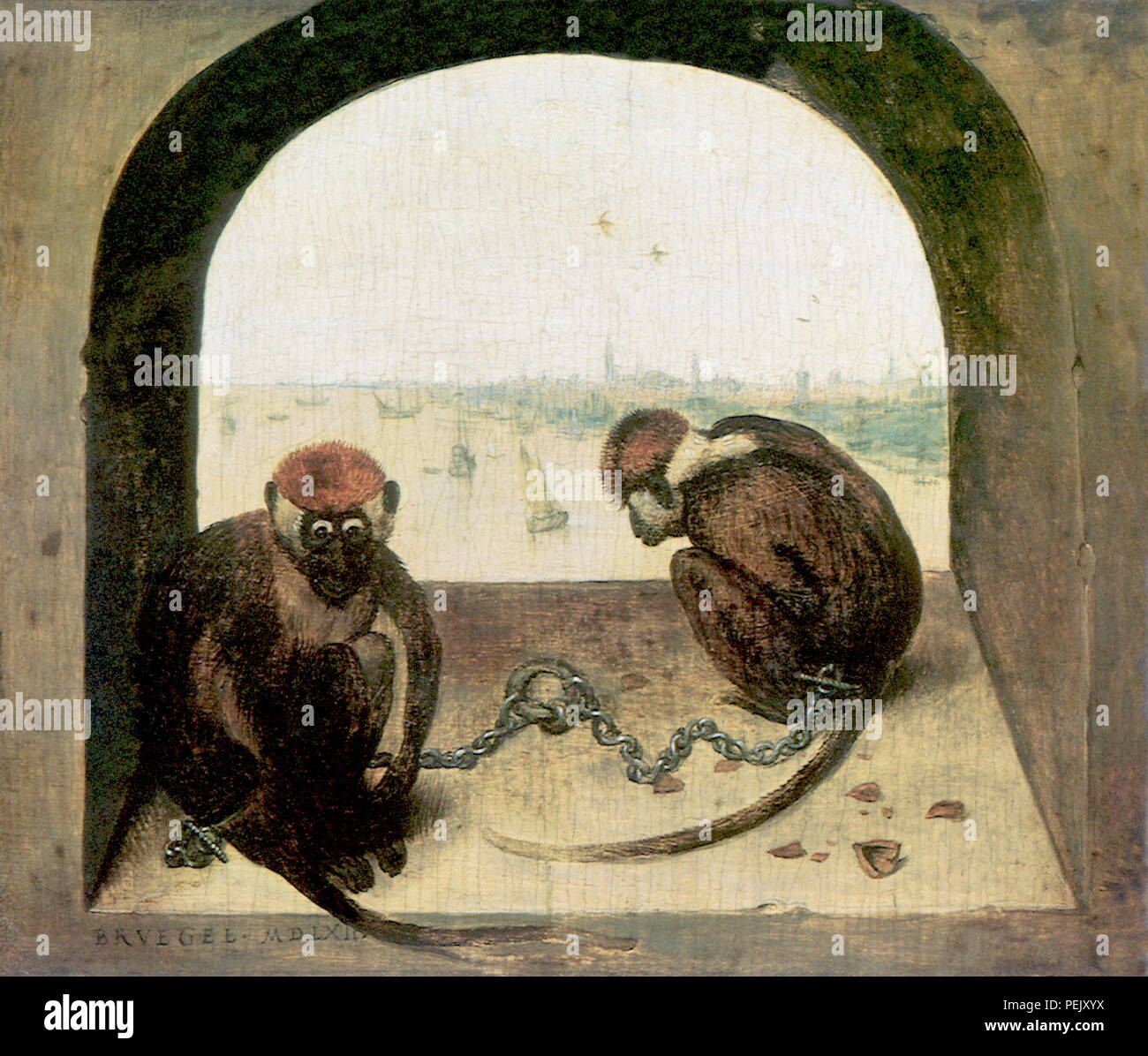 Two chained monkeys hi-res stock photography and images - Alamy