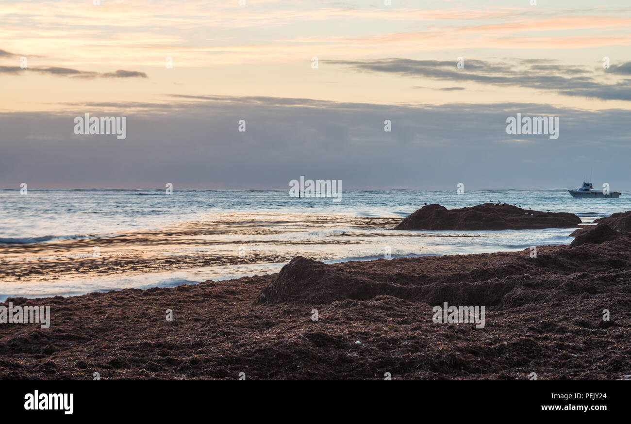 Sand dunes and the beach near Lancelin, Perth, Western Australia, WA ...