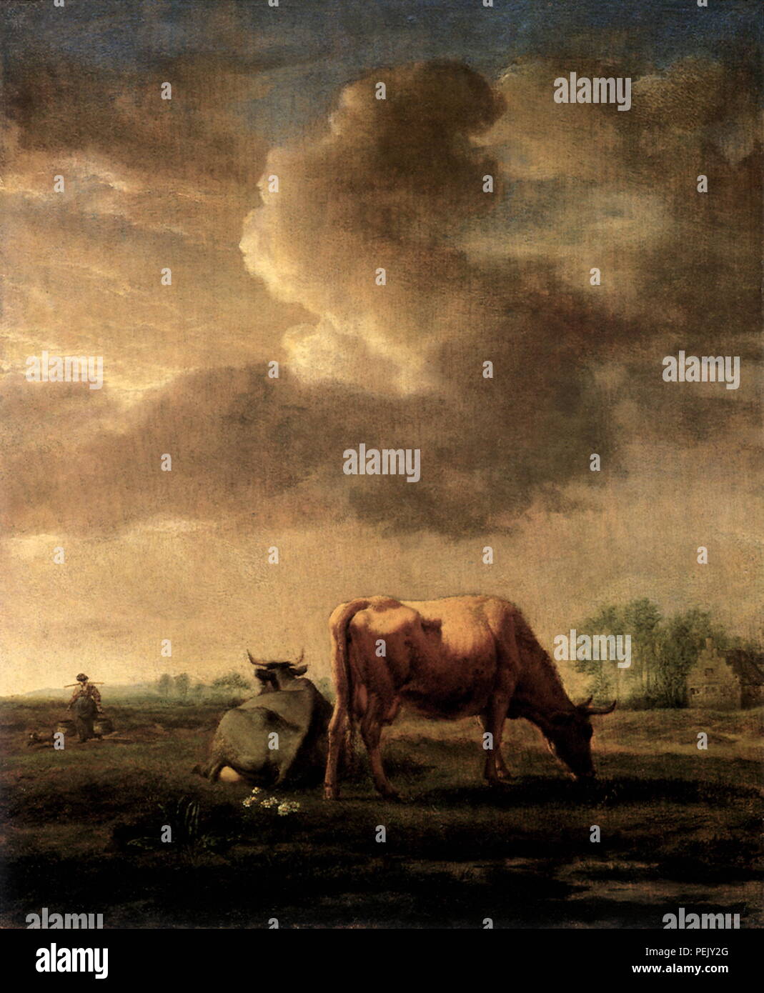 Cattle van hi-res stock photography and images - Alamy