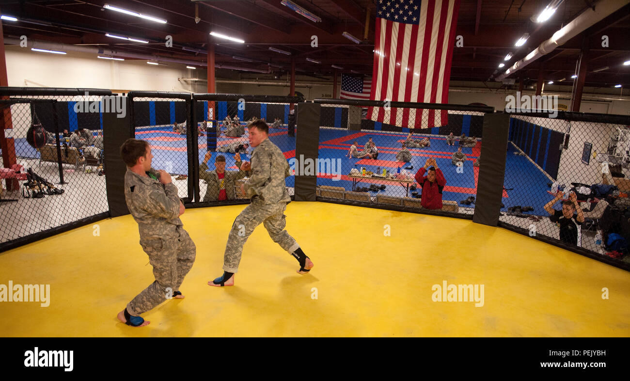Members of the U.S. Army Alaska Combatives team go head-to-head in a ...