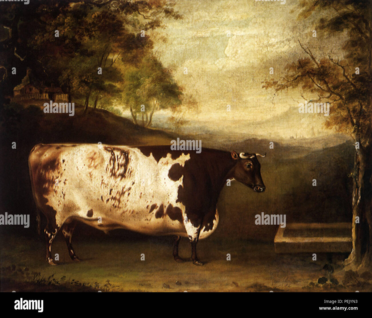 The Durham Ox, Weaver, Thomas Stock Photo - Alamy