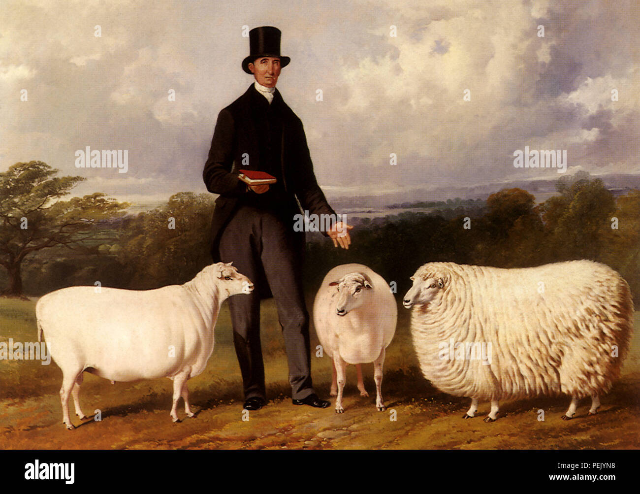 Portrait of Valentine Barford, Barraud, Henry Stock Photo - Alamy