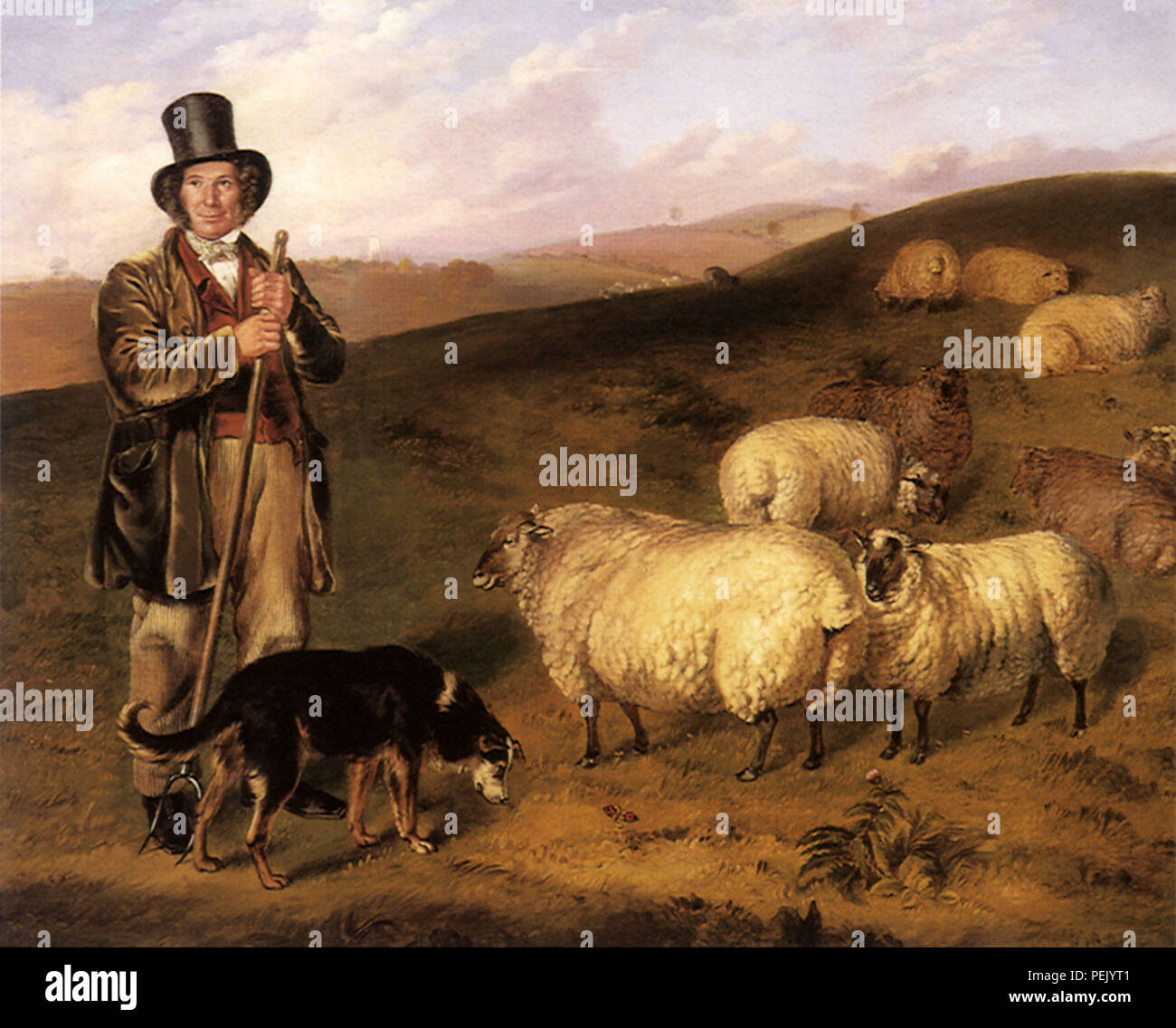 Mullock hi-res stock photography and images - Alamy