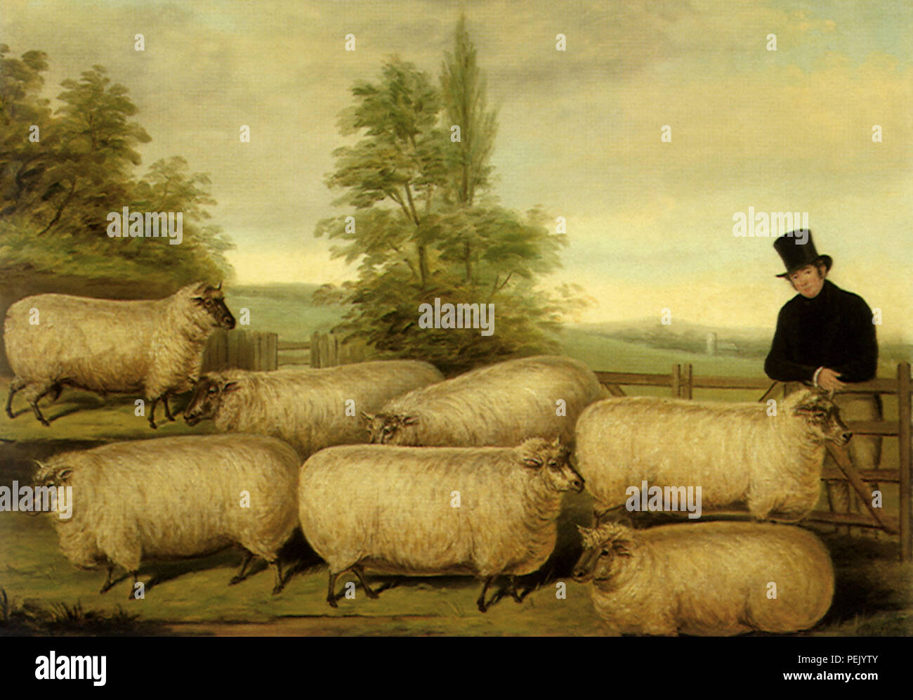 Farmer and His Sheep, Loder, James Stock Photo - Alamy