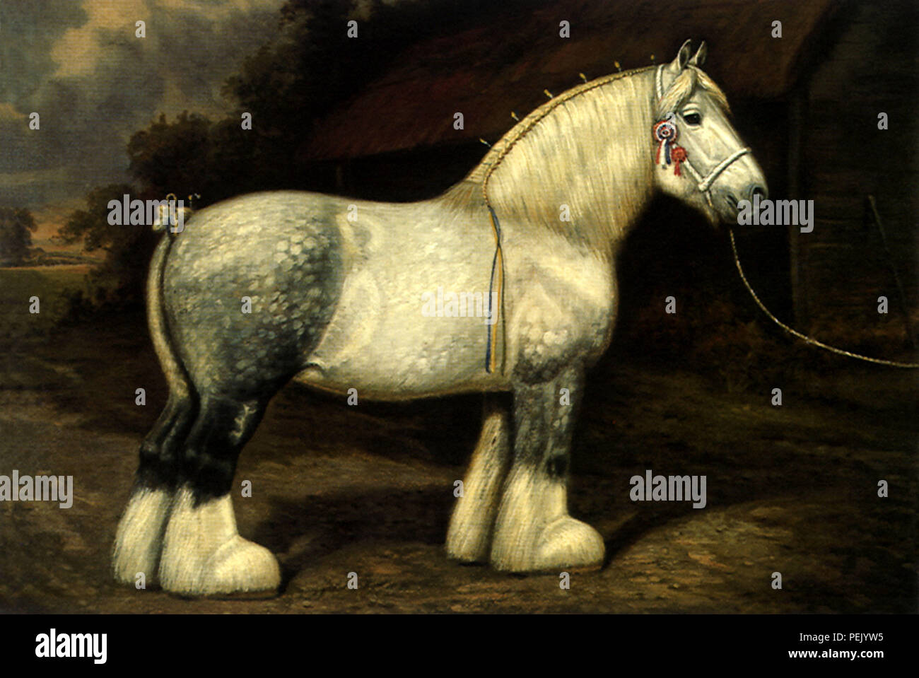 Albert clark horse hi-res stock photography and images - Alamy