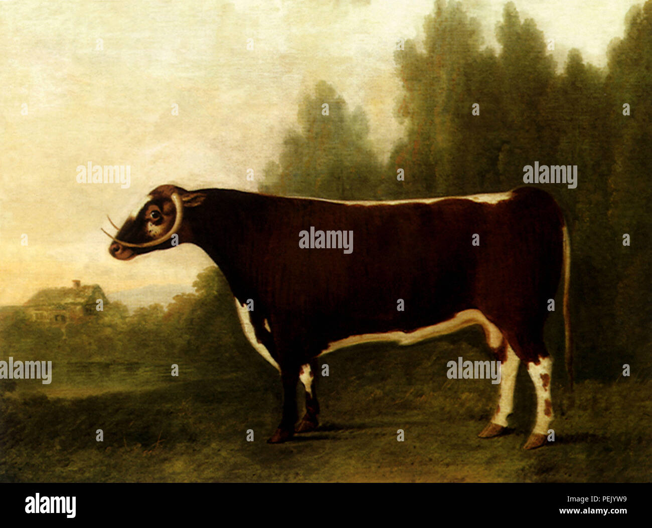 Boultbee hi-res stock photography and images - Alamy