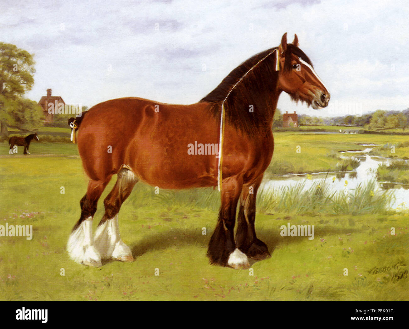 F babbage hi-res stock photography and images - Alamy