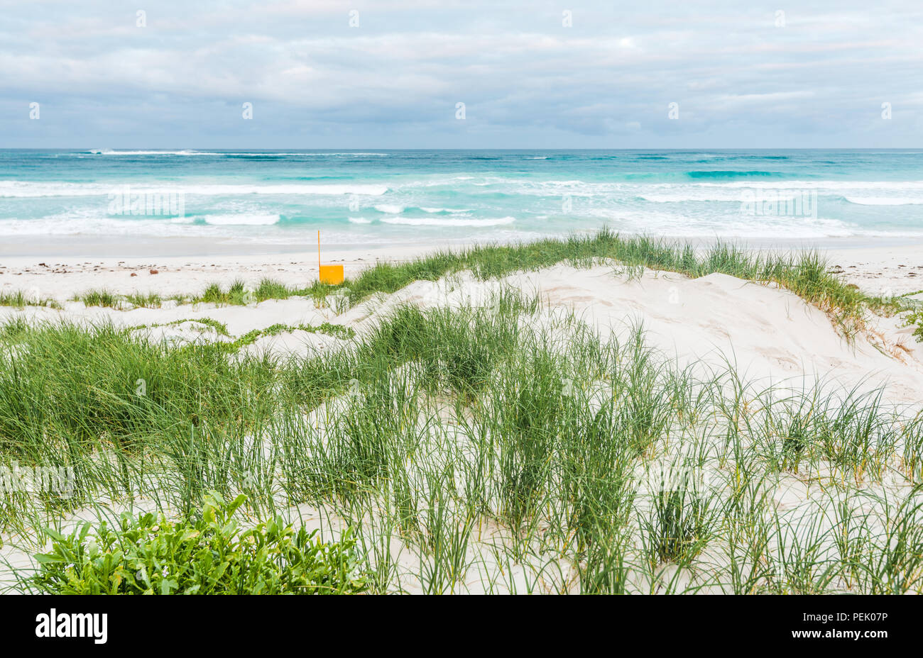 Sand dunes with grass and the beach near Lancelin, Perth, Western ...