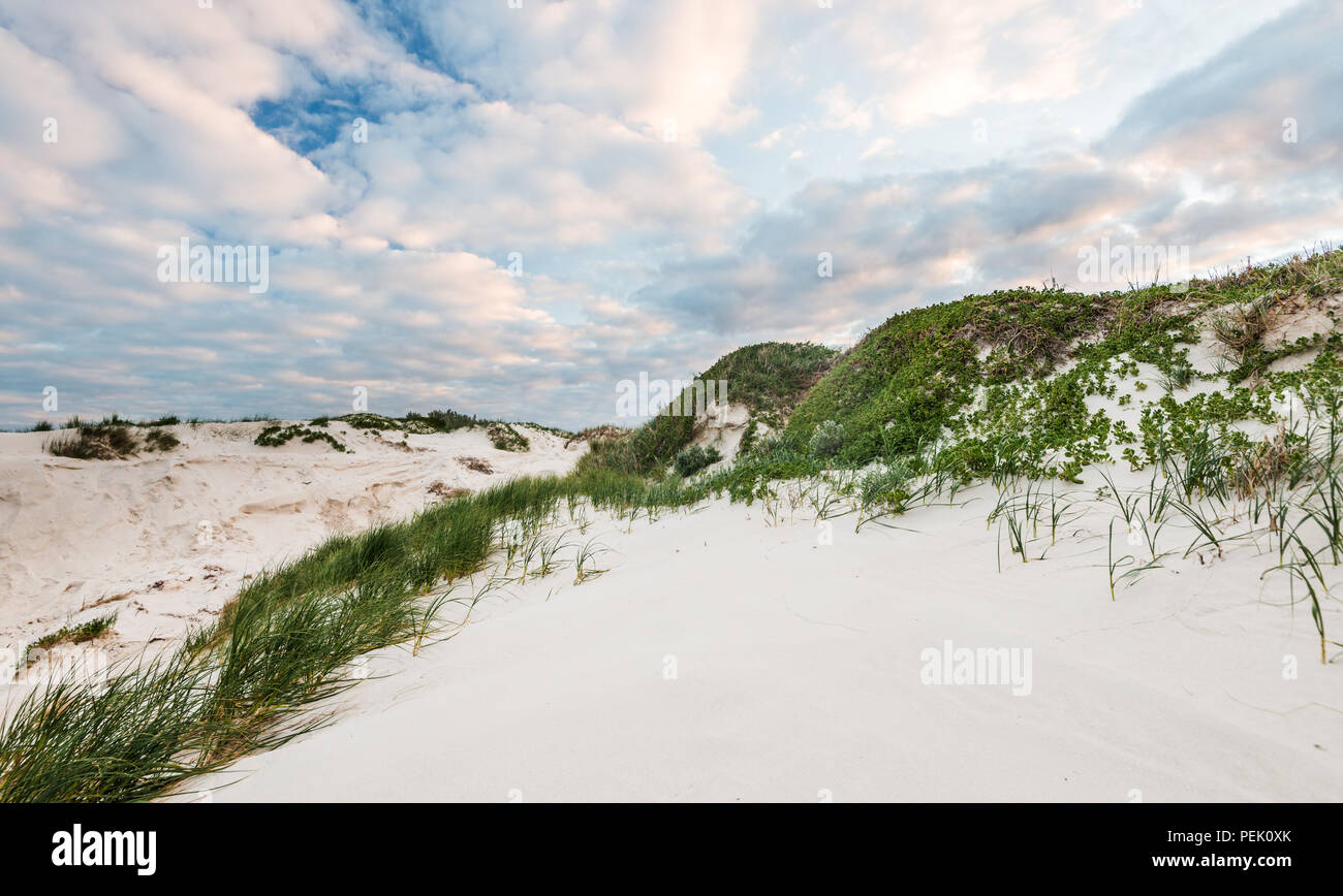 Sand dunes with grass and the beach near Lancelin, Perth, Western ...