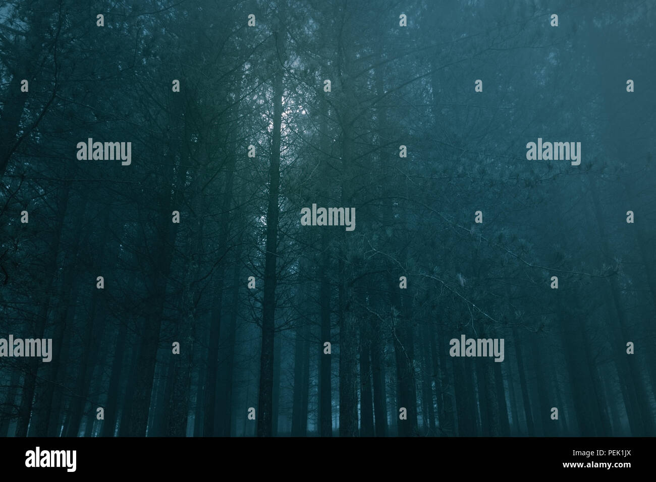 Rain full moon hi-res stock photography and images - Alamy