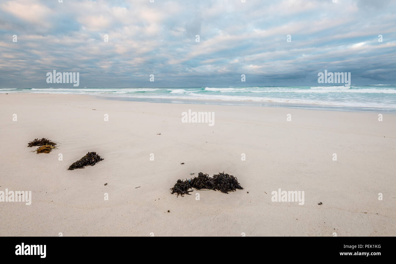 Sand dunes and the beach near Lancelin, Perth, Western Australia, WA ...