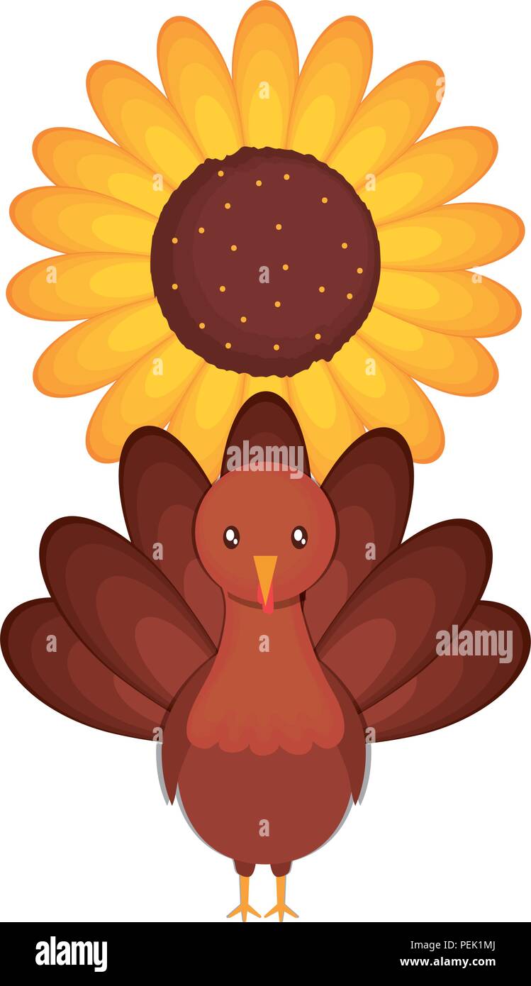 turkey and sunflower over white background, vector illustration Stock ...