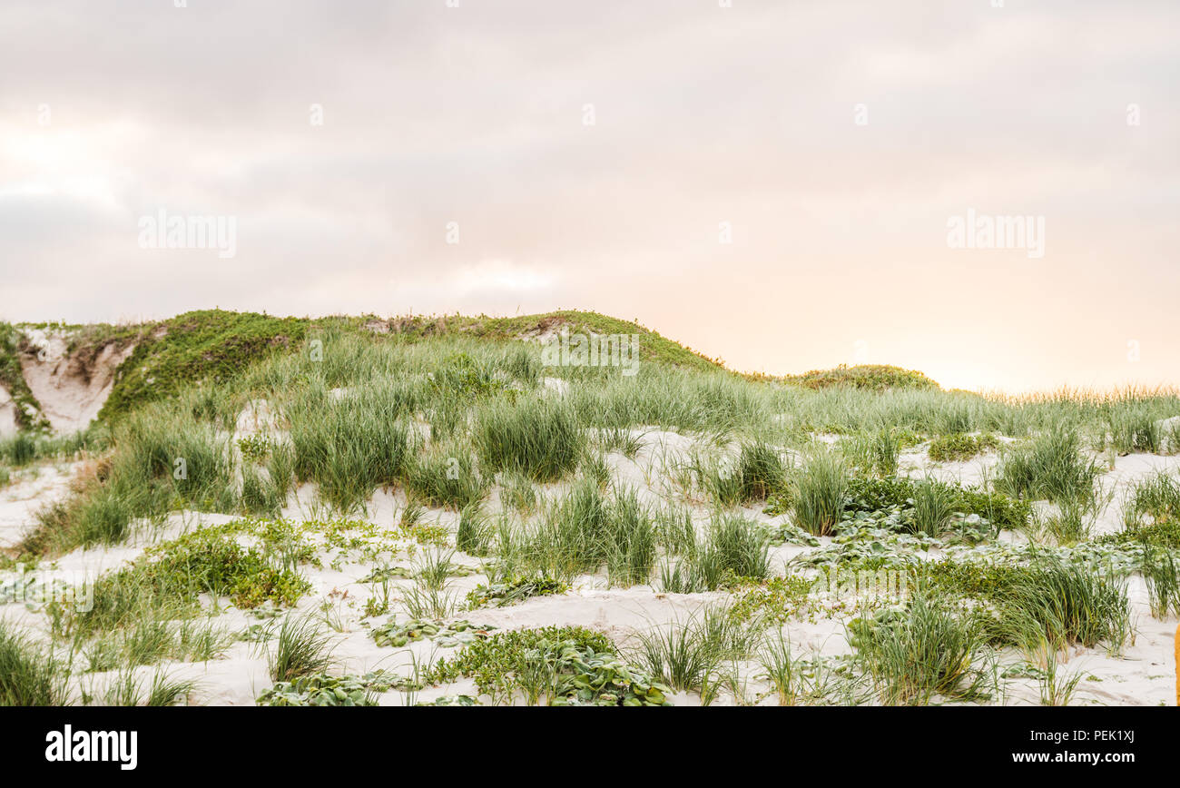 Sand dunes with grass and the beach near Lancelin, Perth, Western ...