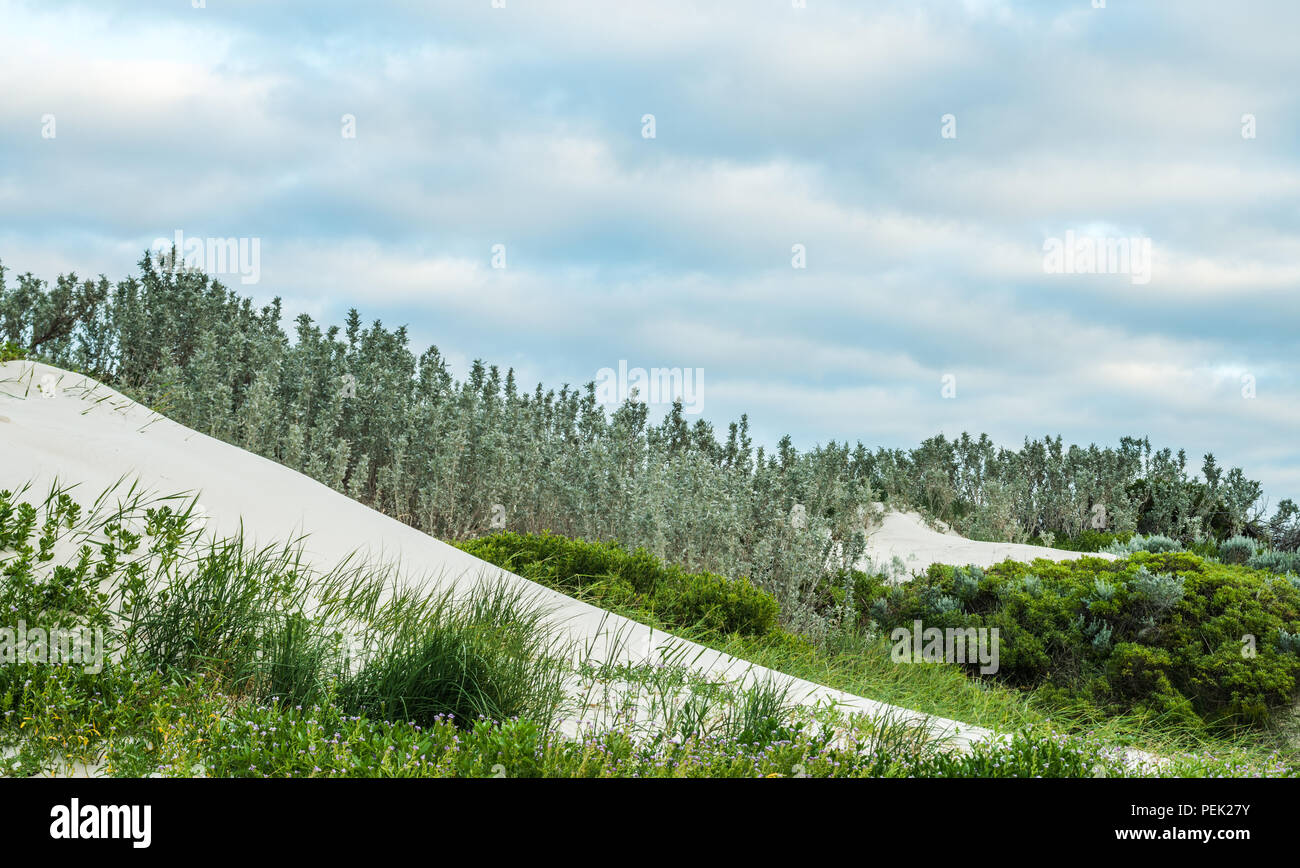 Australia perth dry hi-res stock photography and images - Alamy