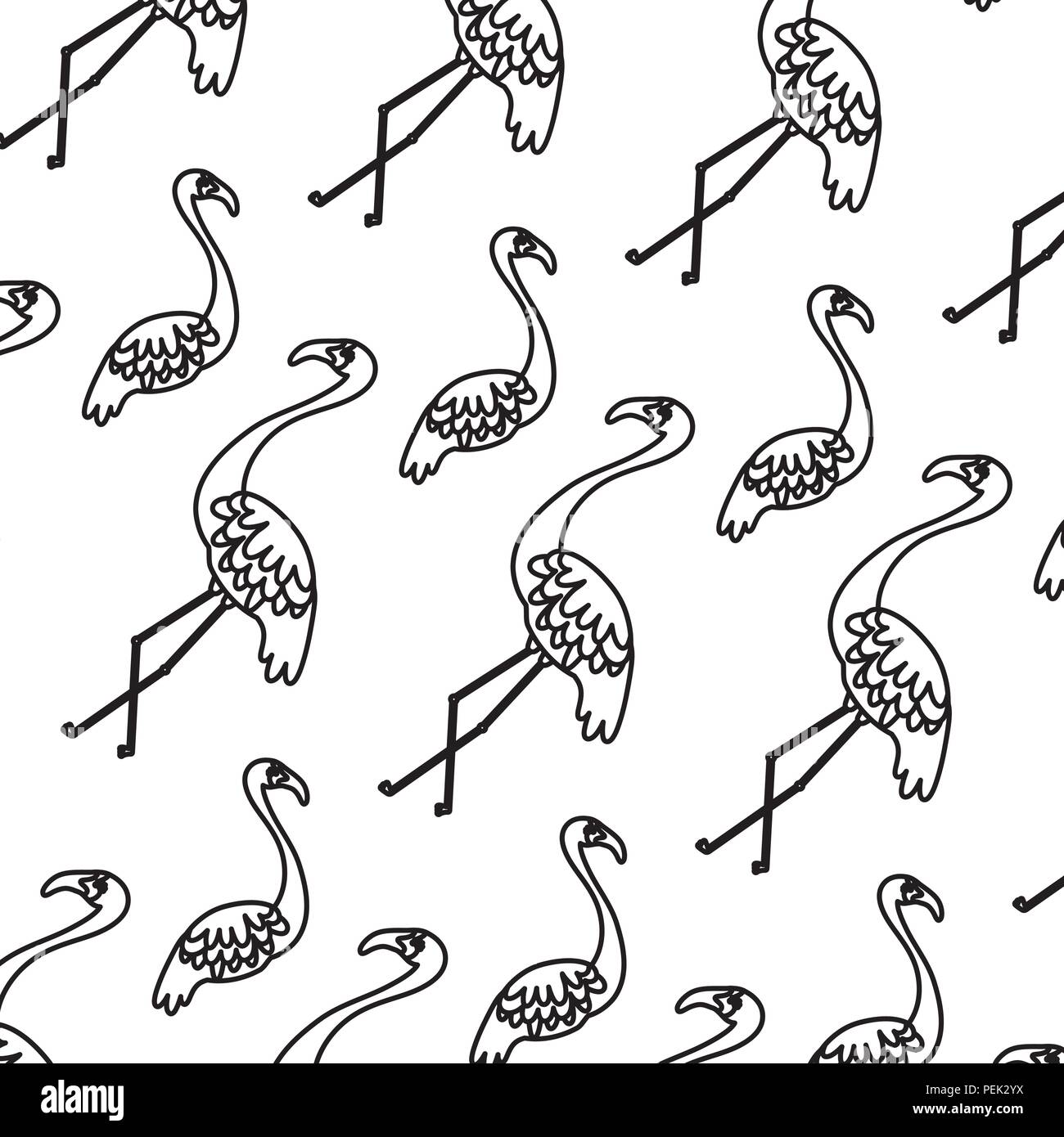 line exotic flemish bird animal background Stock Vector Image & Art - Alamy