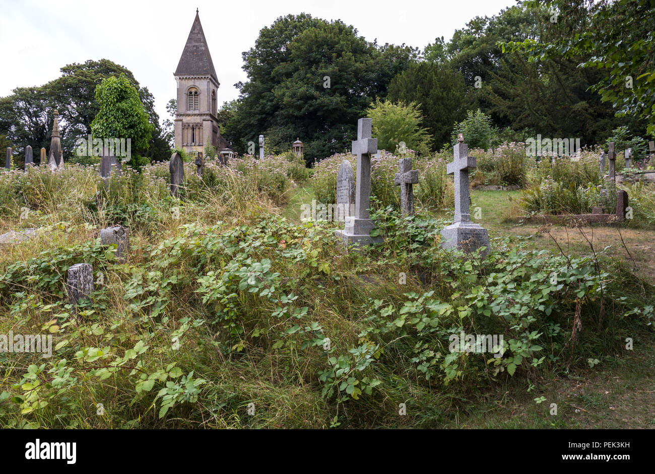 Special cemetery hi-res stock photography and images - Alamy
