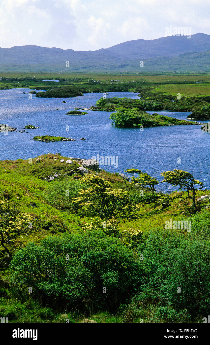 Roundstone bog ireland hi-res stock photography and images - Alamy