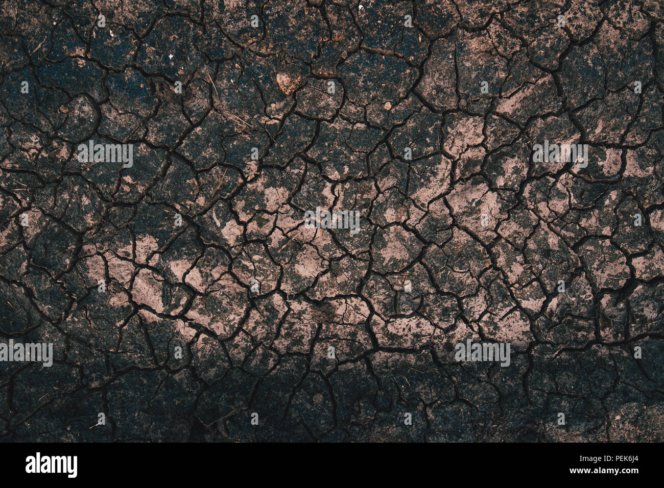 Cracked mud texture top view, dried and contracted muddy sediment from above Stock Photo - Alamy