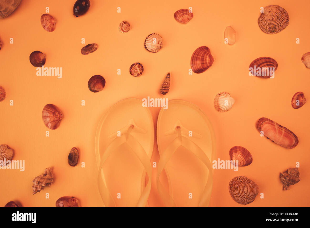 Flat top shells hi-res stock photography and images - Alamy
