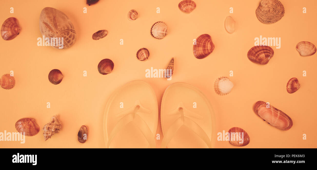 Flat top shells hi-res stock photography and images - Alamy