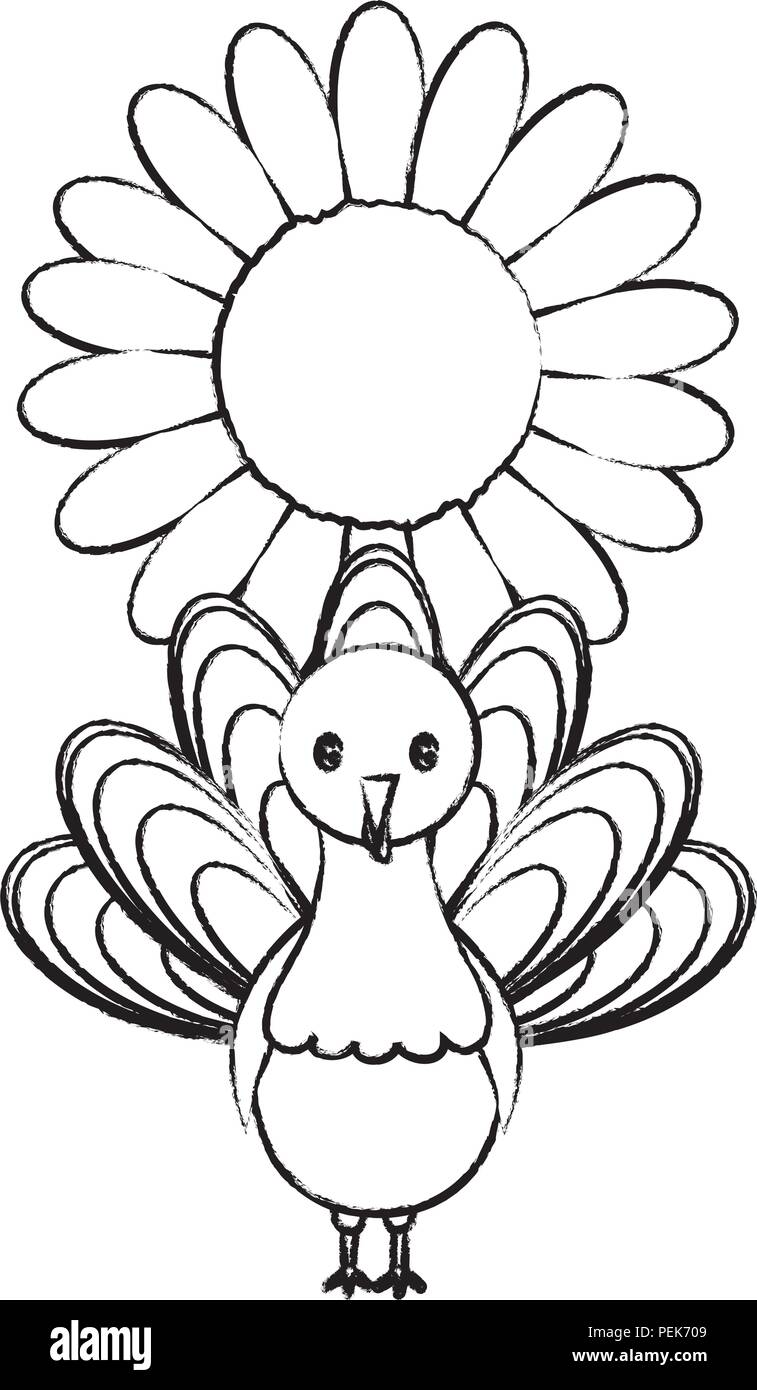 turkey and sunflower over white background, vector illustration Stock ...