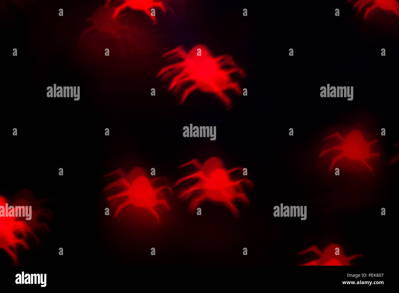 defocused red spiders silhouette on black for halloween background ...