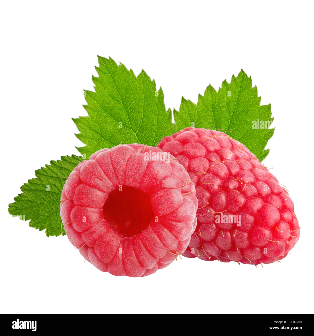 Isolated berries. Two raspberry fruits with leaves isolated on white ...