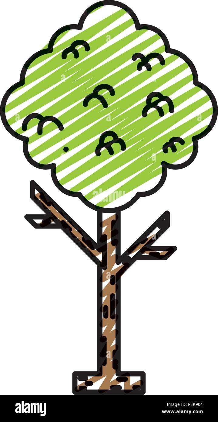 Oak stalk Stock Vector Images - Alamy