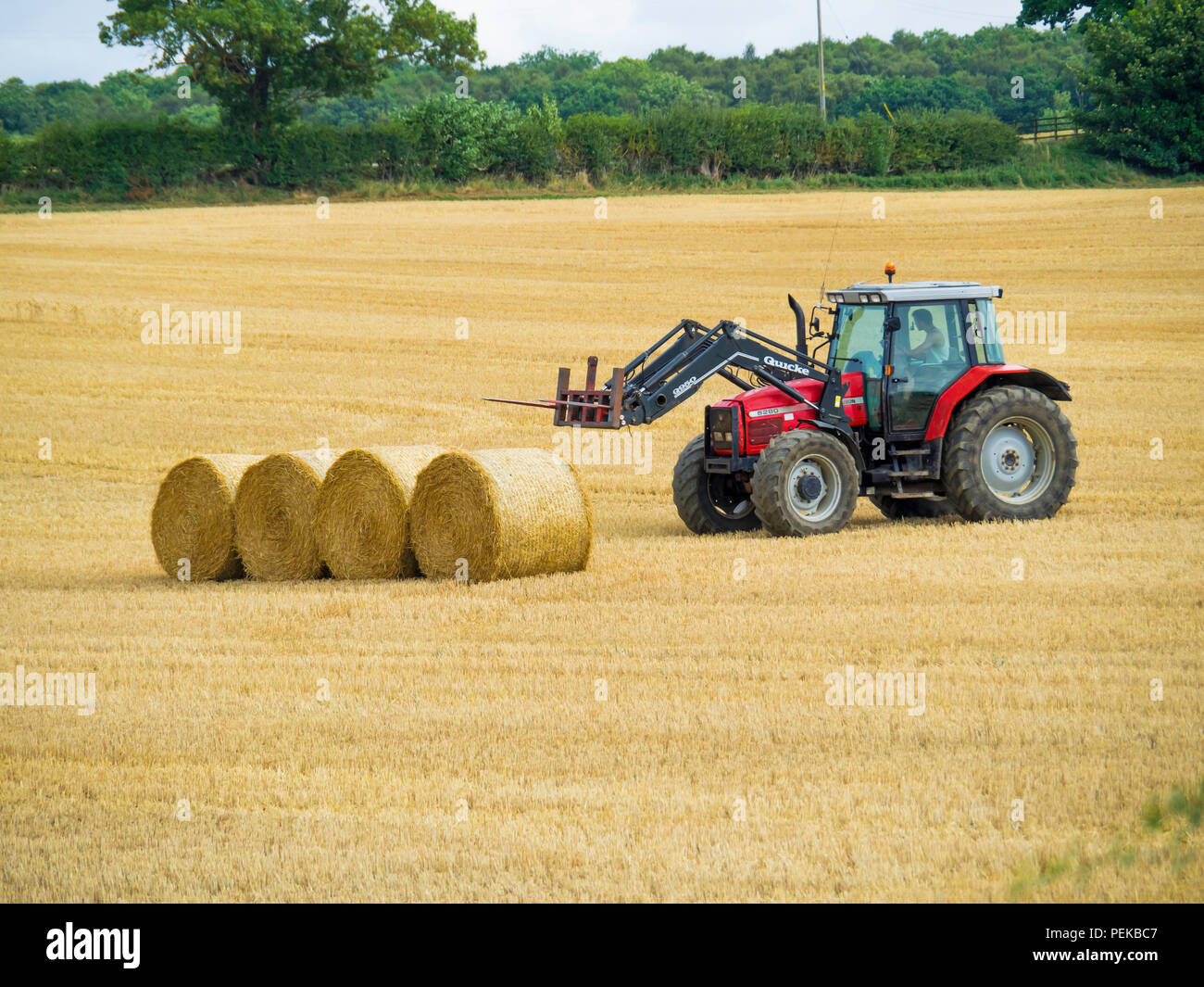 Tractor collecting cylindrical hay bales for transport to storage North ...