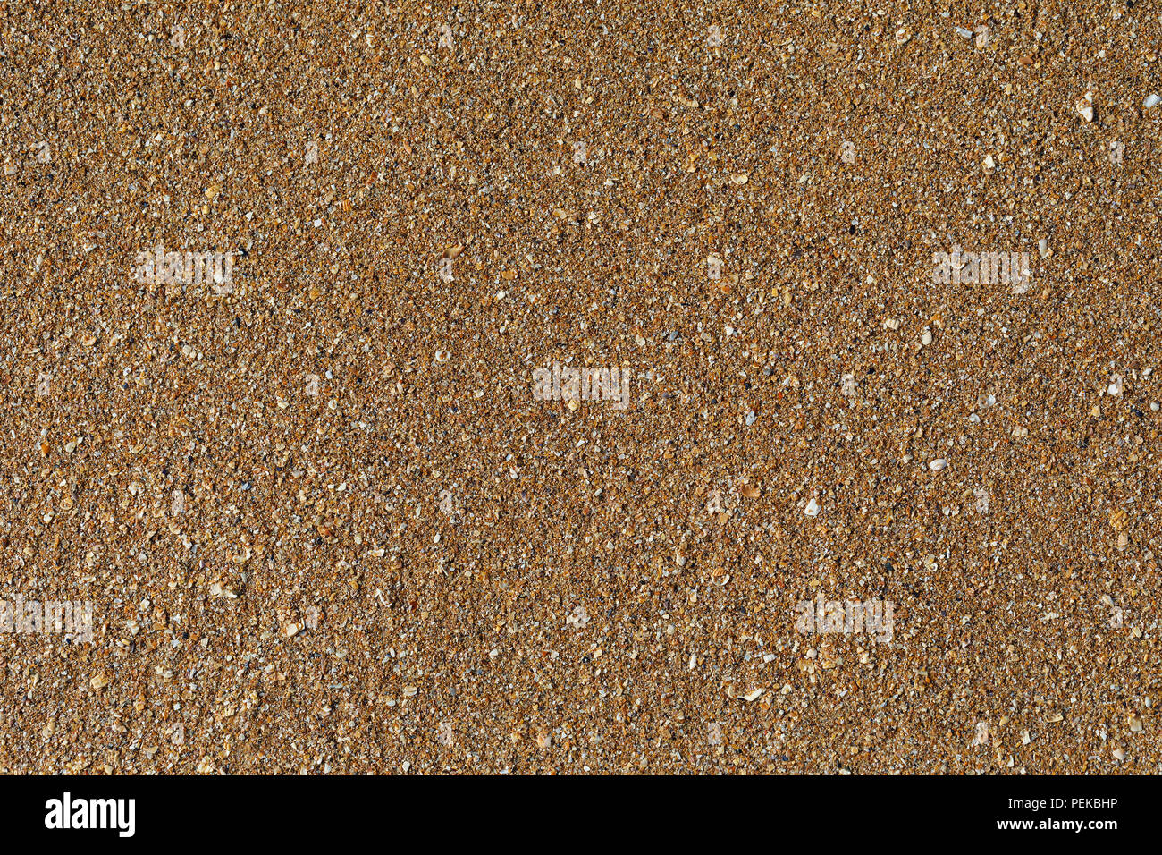 Texture of sandy beach surface with crushed shells, top view Stock ...