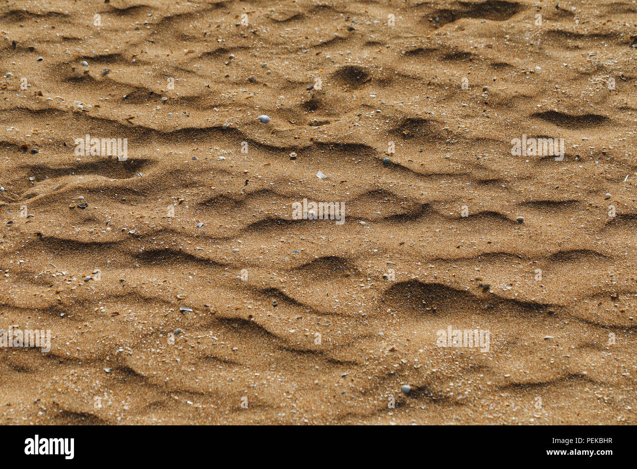 Crushed sea shells hi-res stock photography and images - Alamy