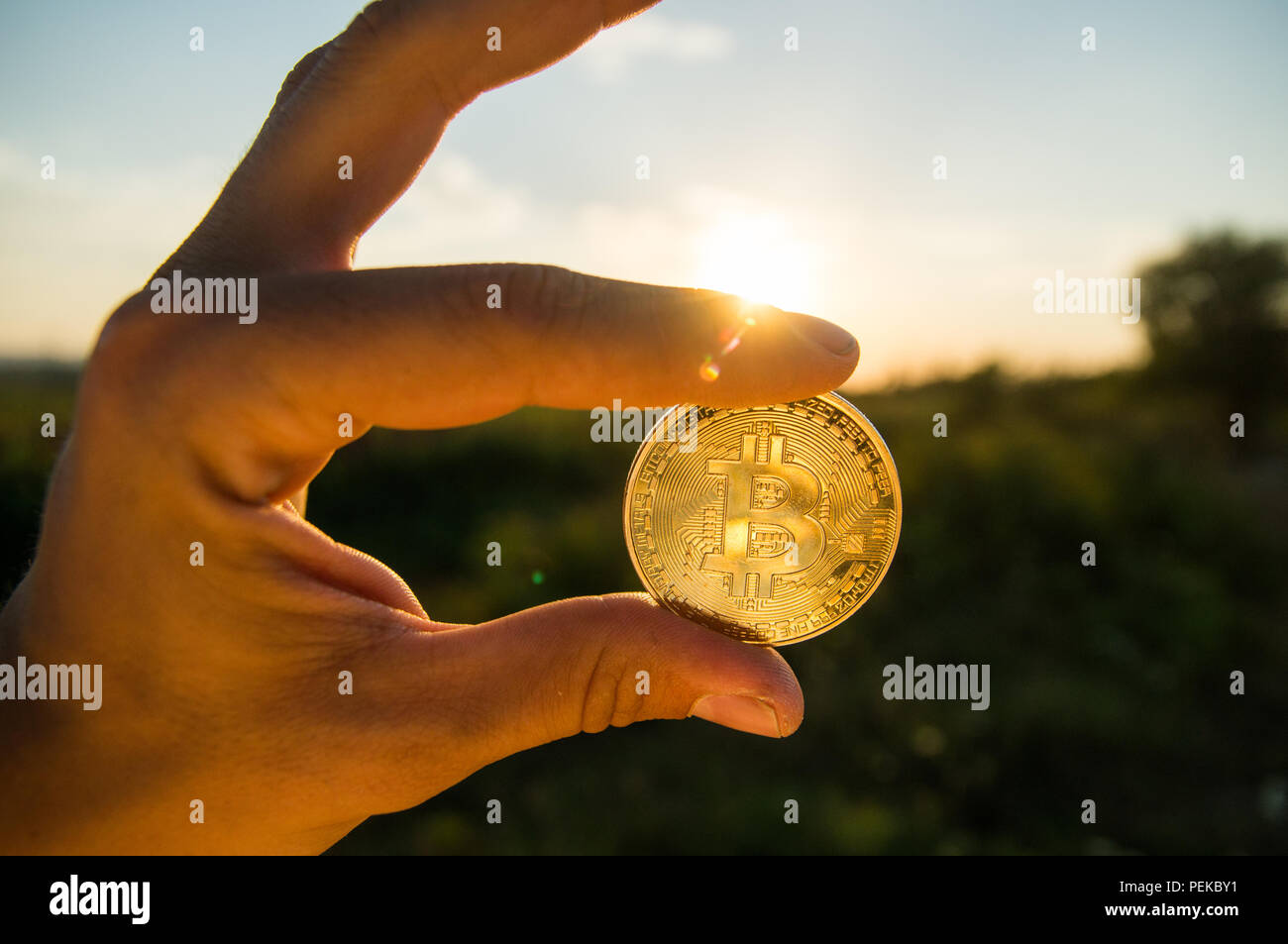 HAND HOLDING BITCOIN CRYPTO CURRENCY Stock Photo - Alamy