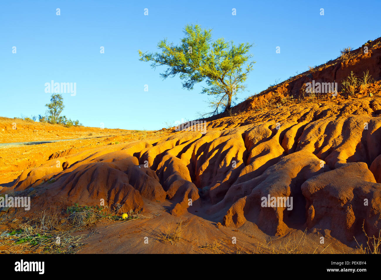 Image taken while on a family holiday in the regional outback city of ...