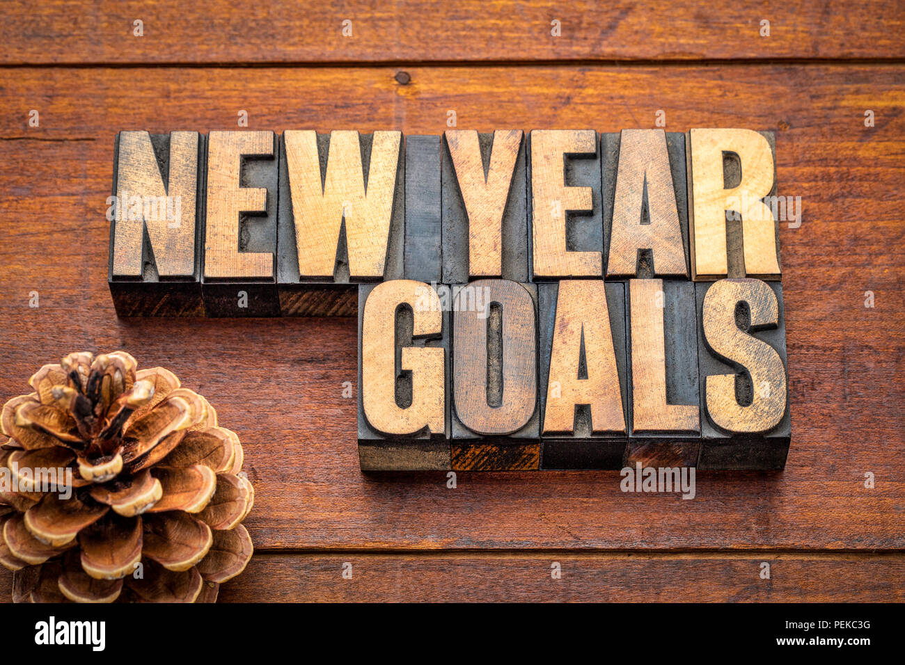 New Year goals word abstract in vintage letterpress wood type again st ...